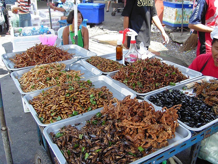Insects as Food | Amusing Planet